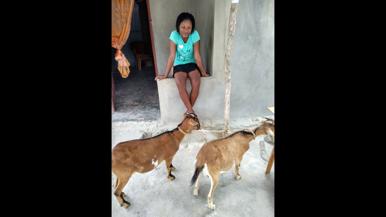 KPP Goat Program 1 - YouTube