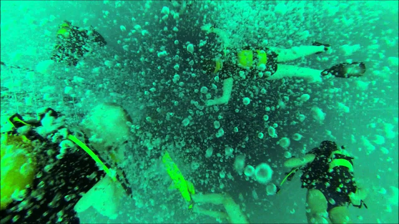 NEMO 33 - Belgium - YouTube