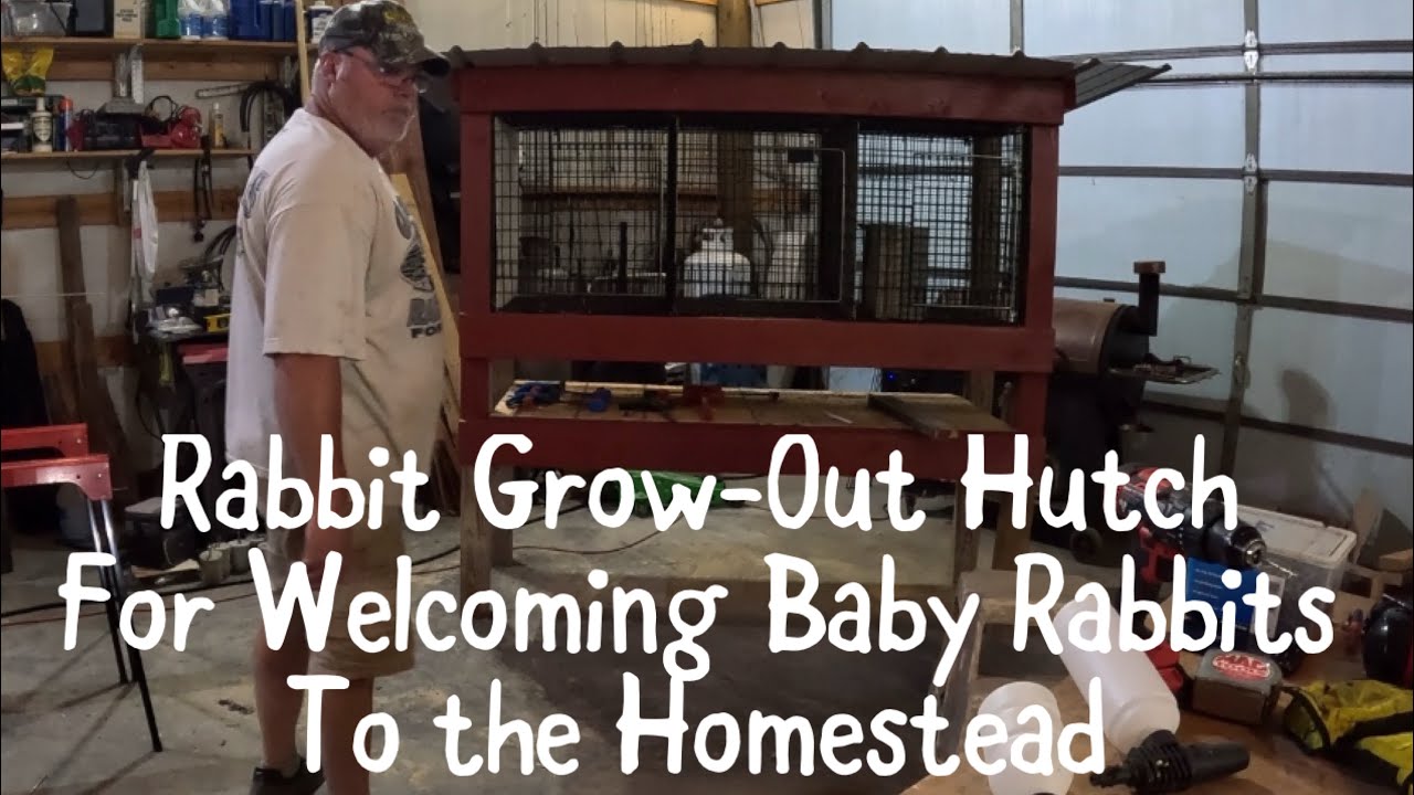 How we Built a Rabbit Grow-Out Hutch to Welcome Baby Rabbits to our ...