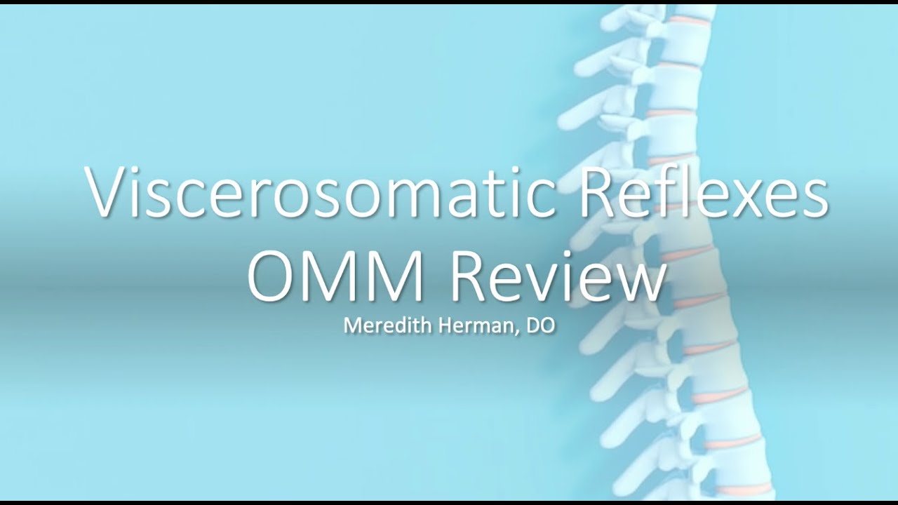 Viscerosomatic Reflexes OMM for COMLEX - YouTube