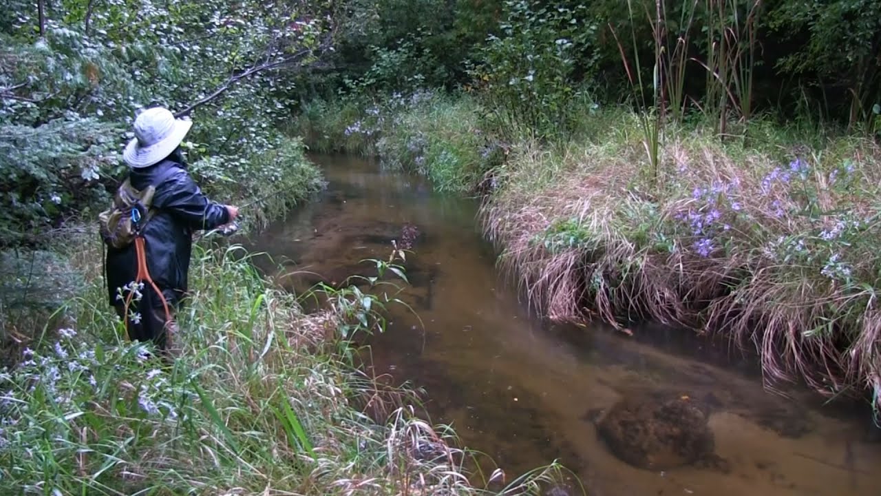Fishing the Evergreen River, WI - YouTube