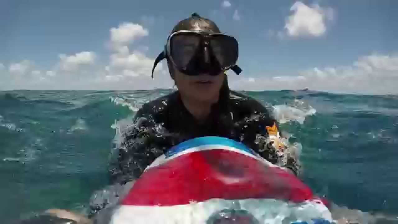 Seabob Jet Australia introducing Jet Snorkeling to the Outer Great Barrier Reef Marine World ...