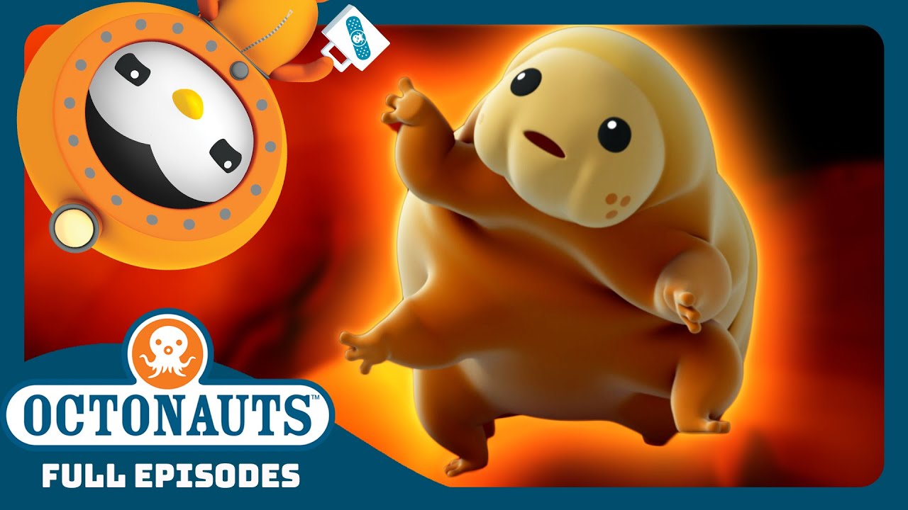 @Octonauts - 🐻 The Water Bears Rescue Mission ⛑️ | Season 3 | Full ...