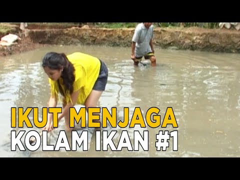 Ternyata sulit untuk mengambil ikan di Empang | JIKA AKU MENJADI