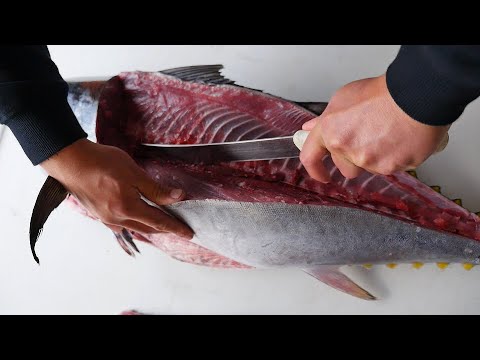 Making the most of your tuna - the ultimate filleting guide - YouTube