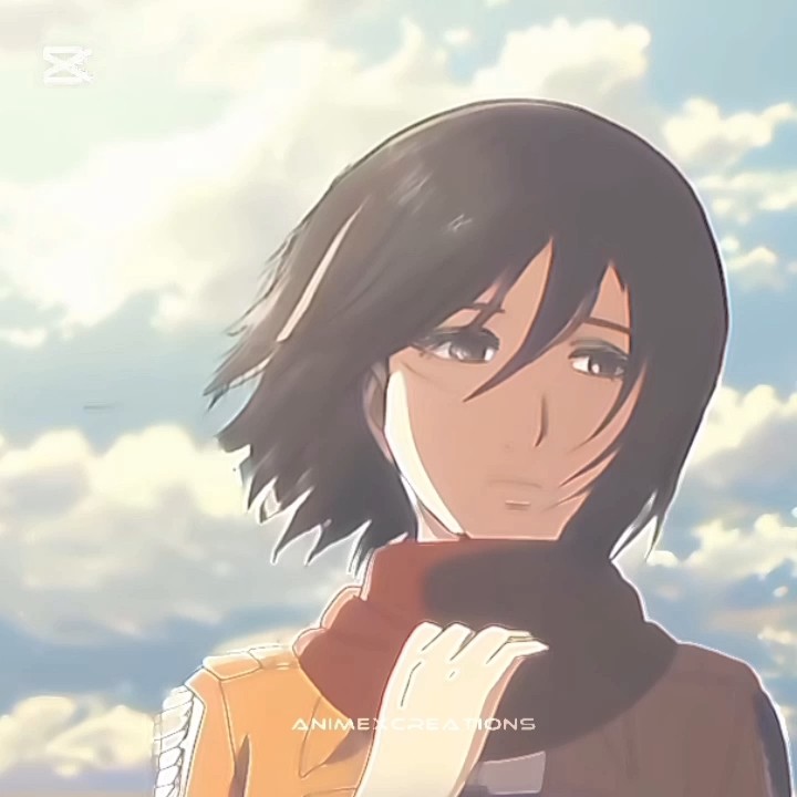 Mikasa beauty😍🤍 #anime #animelover #naruto #mikasa #aot #support # ...