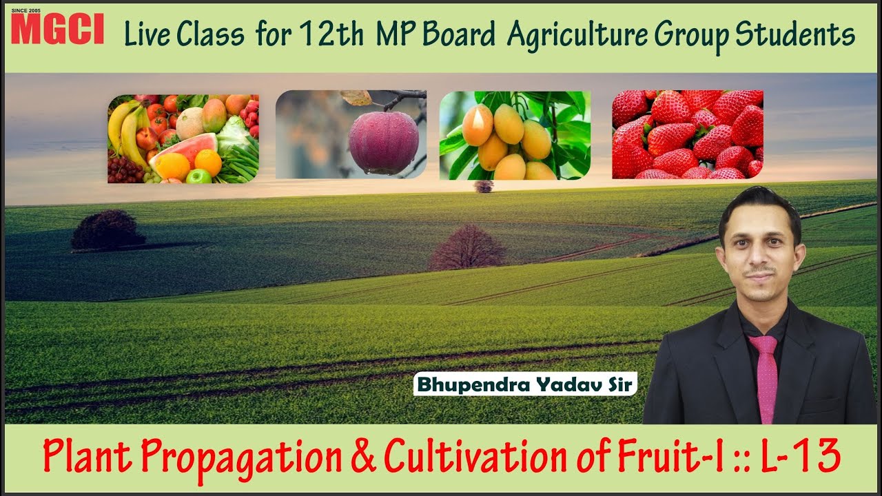 12th MP Board Live Classes (Agriculture Group) ::Plant Propagation ...