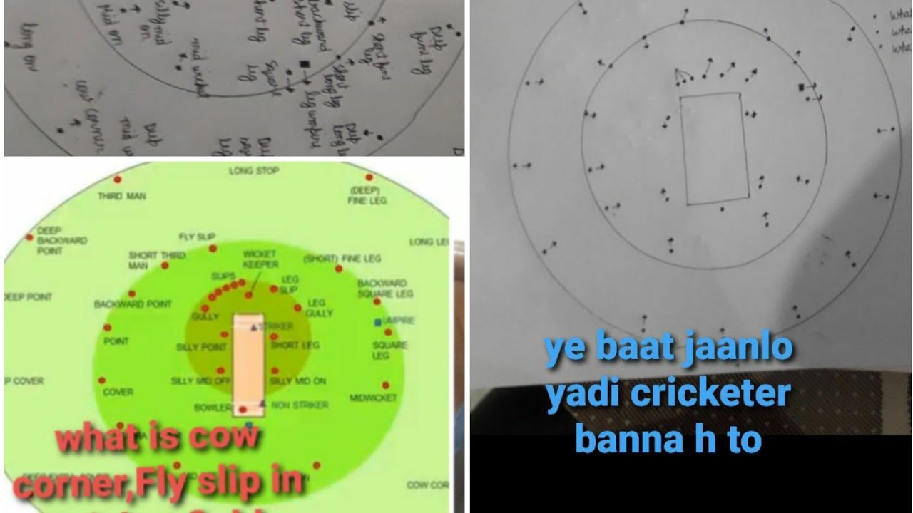 Field Positions in Cricket | 🤔Cow Corner, Fly Slip, Long Stop,Cover ...
