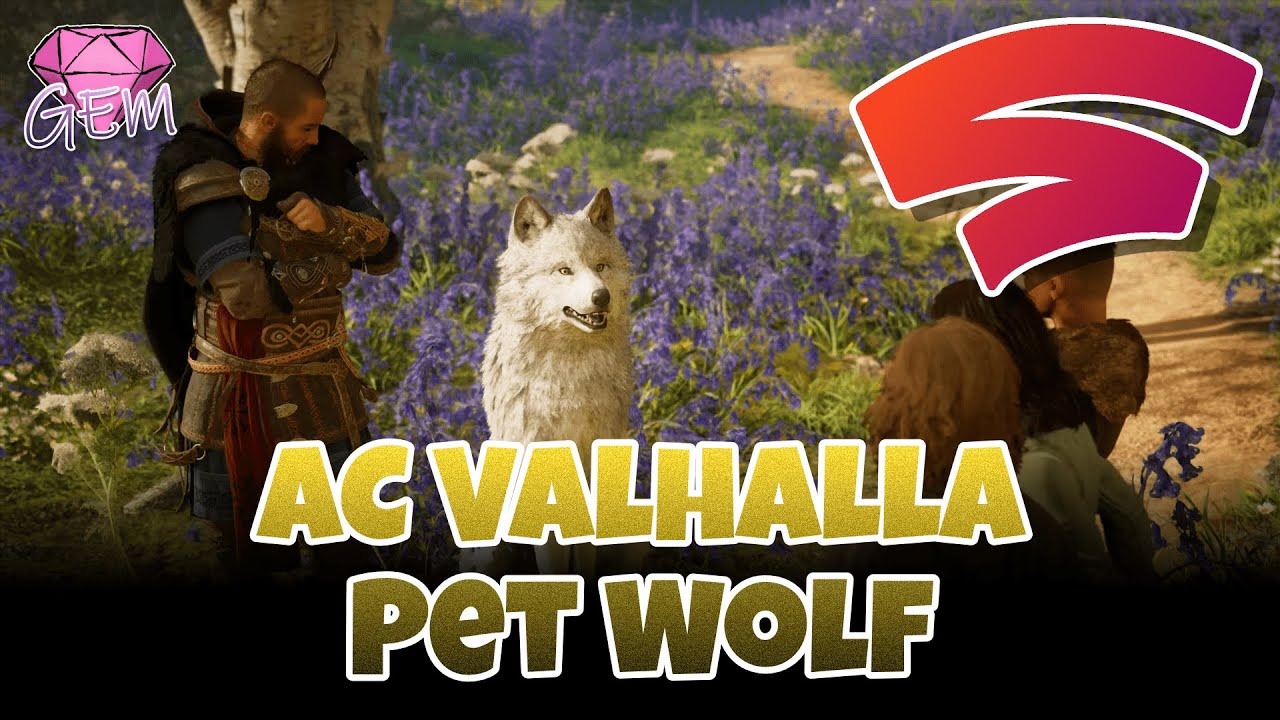 Assassin's Creed Valhalla - Pet Wolf Tutorial - YouTube