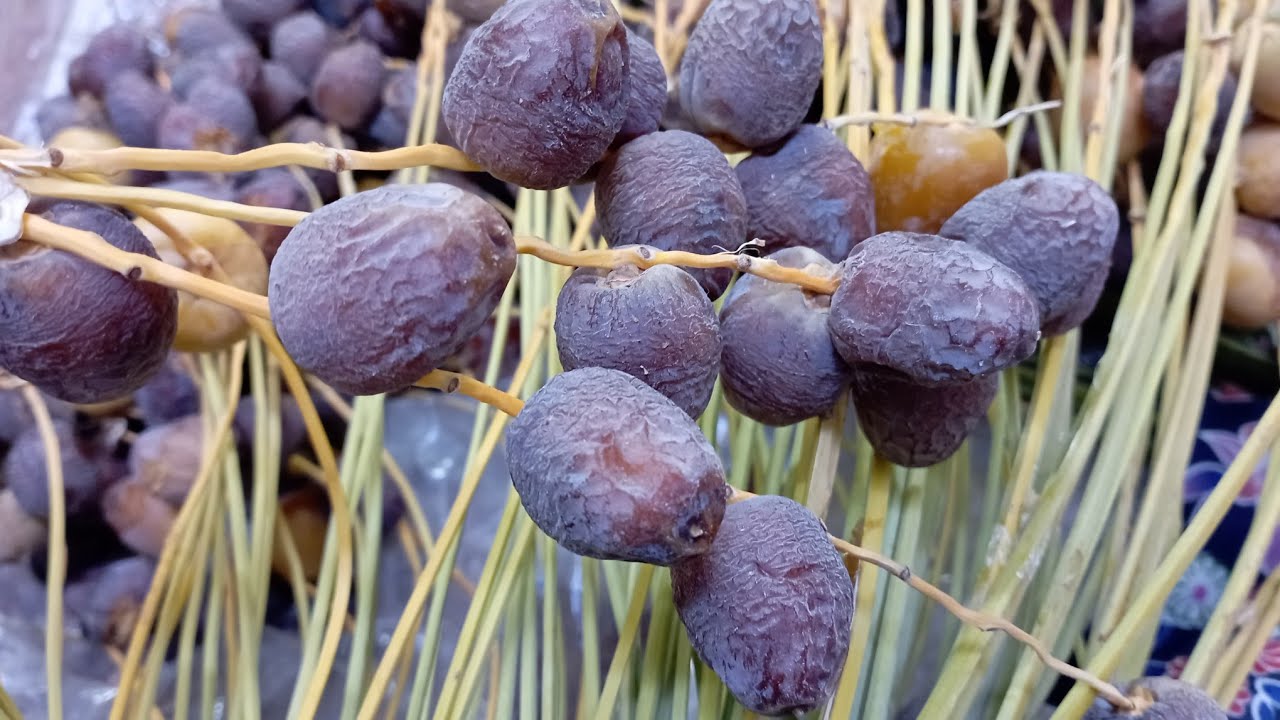 memipil korma batu, korma halawa bagar - YouTube