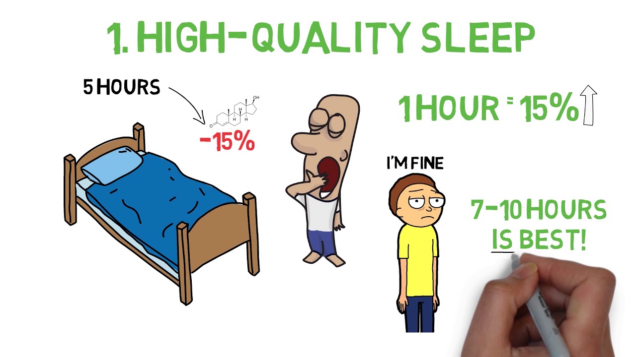 Testosterone and Motivation | Animated - YouTube