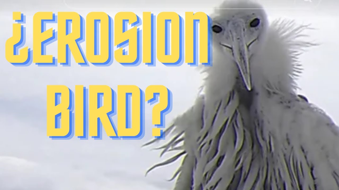¿Que es el OPIUM bird?/ zanahoria - YouTube