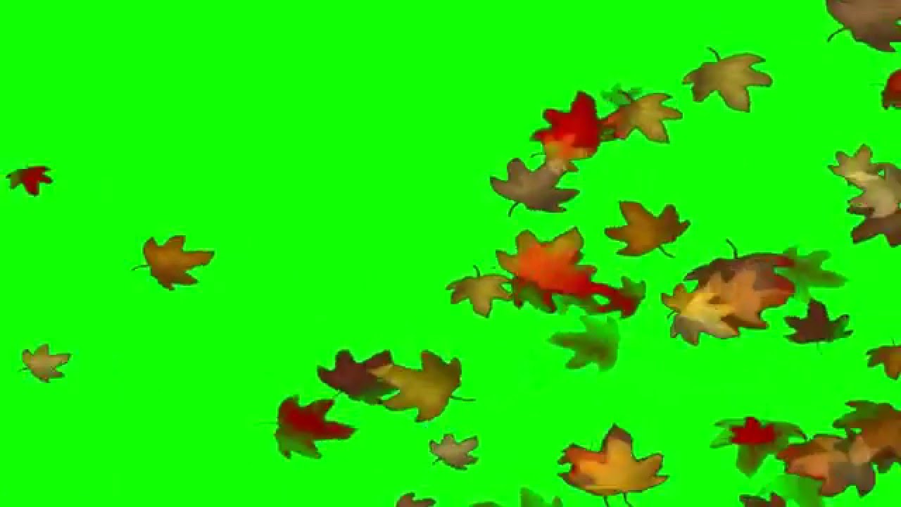 Green screen autumn leaves and wind sound - YouTube