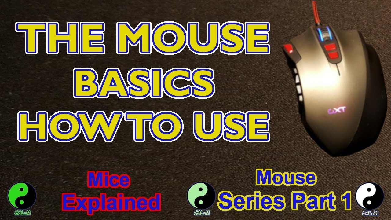 The Basics - Mice Explained - YouTube