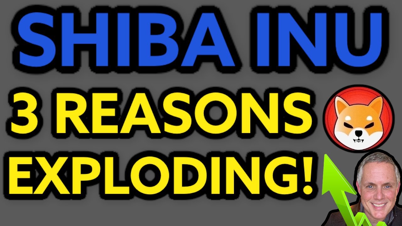 3 REASONS WHY SHIBA INU IS EXPLODING! SHIBA INU COIN HOLDERS - THIS IS ...