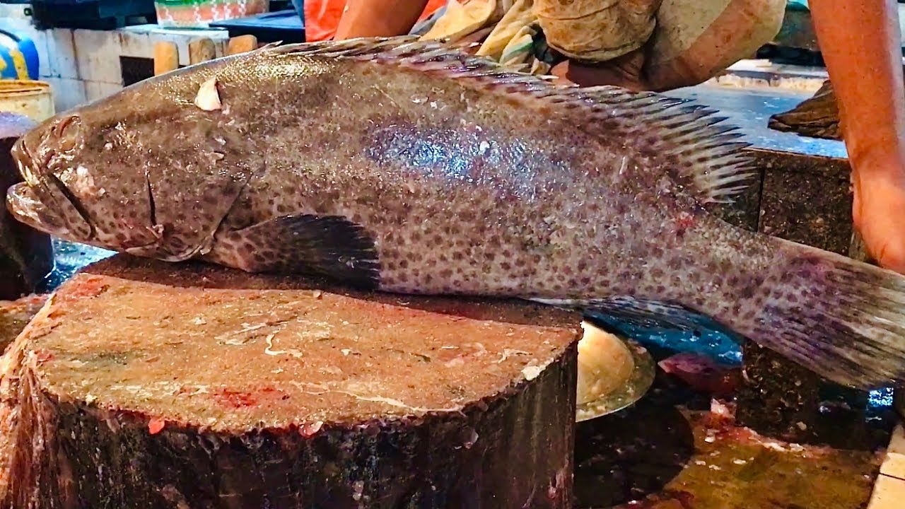 Cutting Skills of the Giant Grouper Fish | Hamour Fish Cutting Skills ...