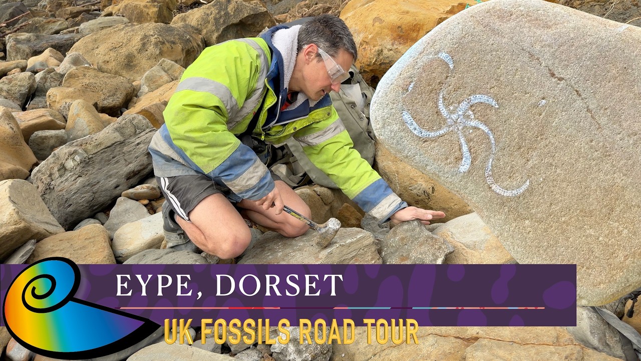 Videos – UK Fossil Collecting
