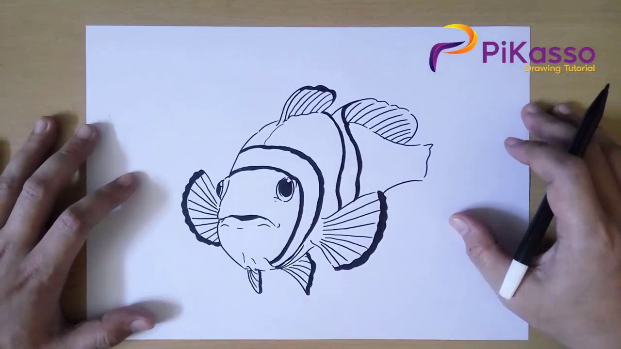 How to Draw Clown Fish step by step - YouTube