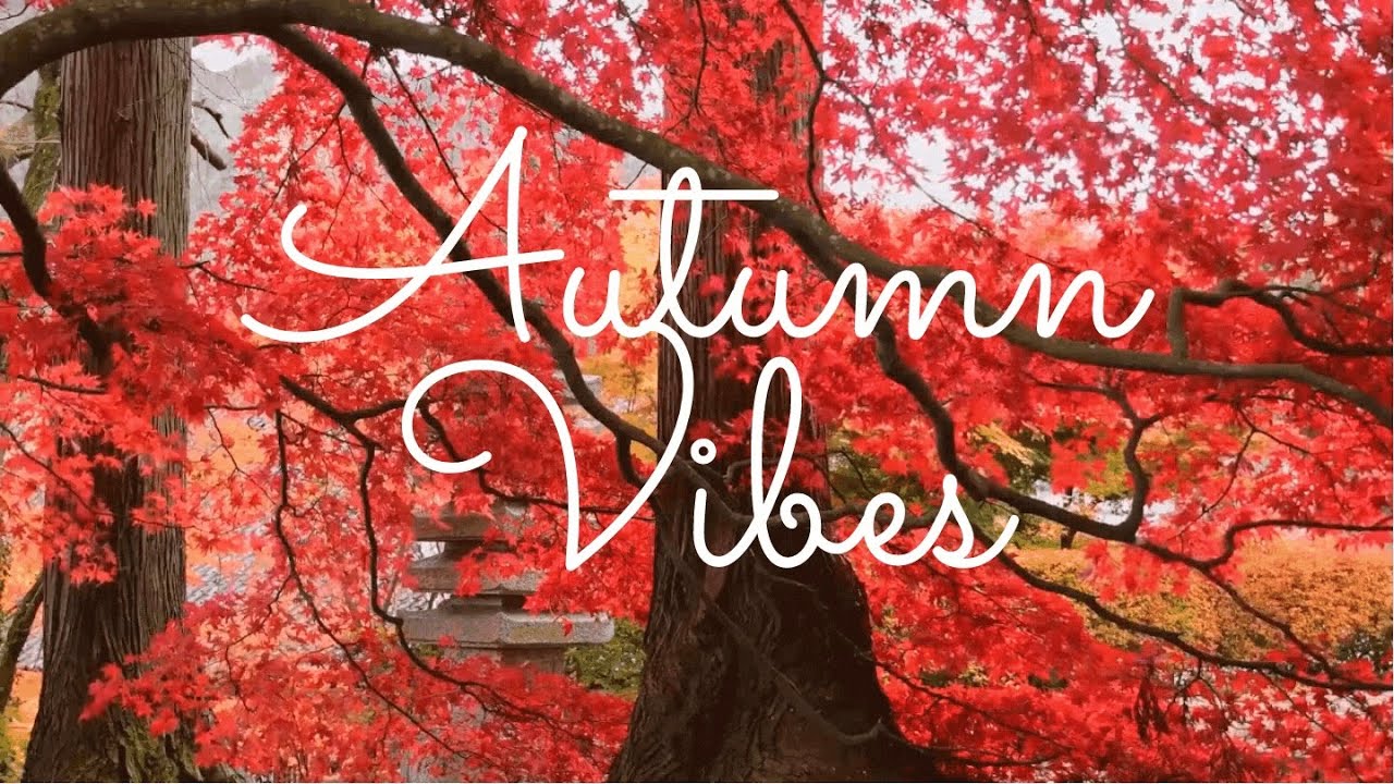 AUTUMN JAZZY VIBES! [CELEBRATION] - YouTube