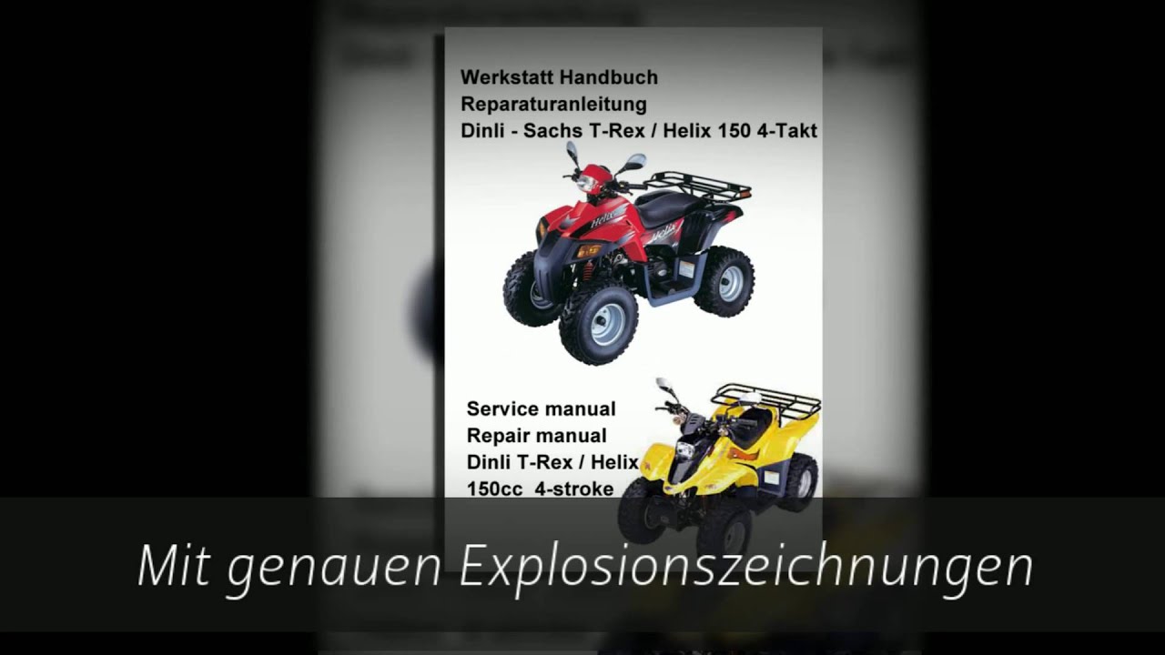 Dinli Sachs Helix150 T Rex 150 Werkstatthandbuch, Reparaturanleitung ...