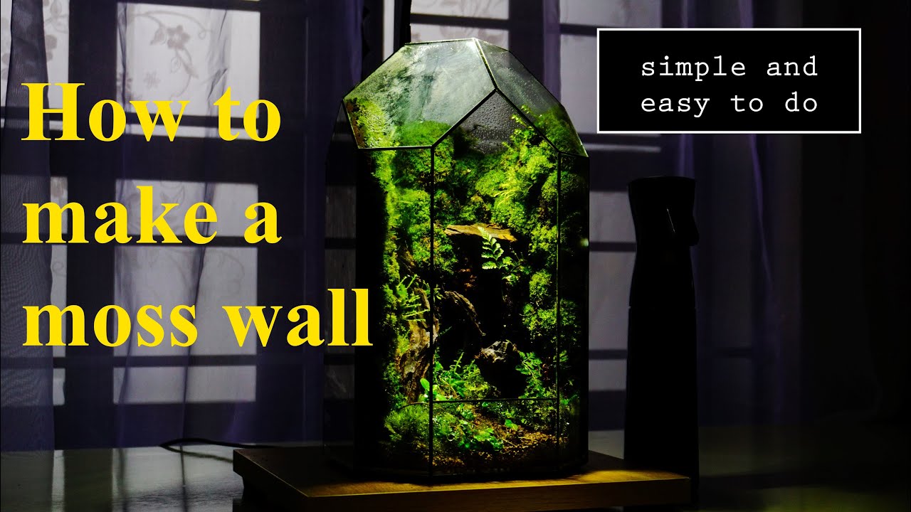 Relax with a terrarium: How to make a moss wall - YouTube