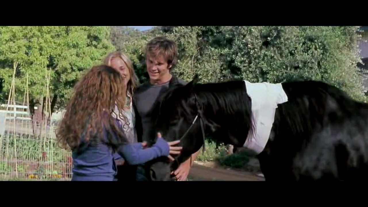 Flicka || Say What You Need To Say - YouTube