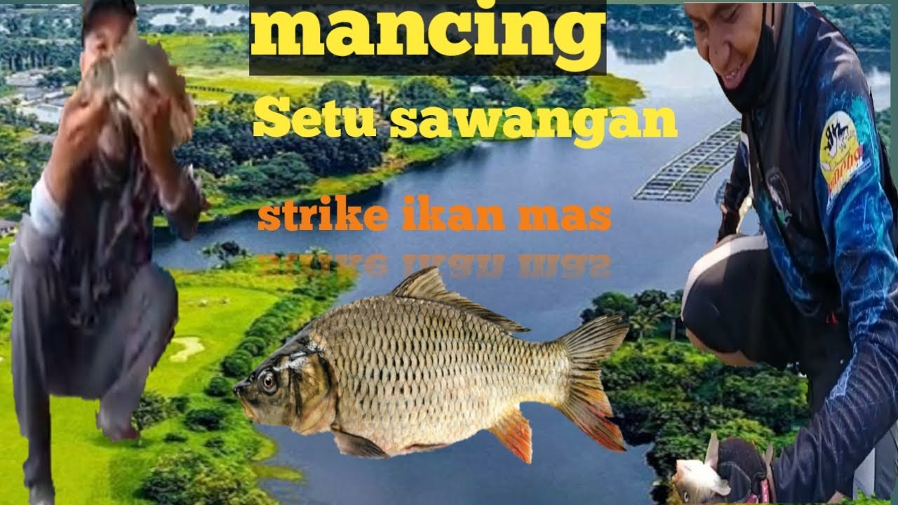 Mancing di Setu sawangan depok - YouTube