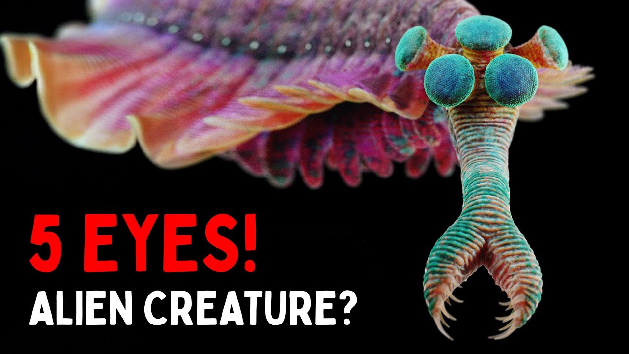 The Strangest Creature Ever Lived: A 5-Eyed Biological Mistake? | The ...