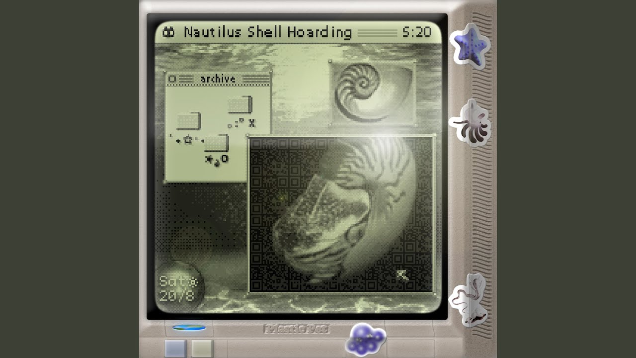 Nautilus Shell Hoarding - YouTube