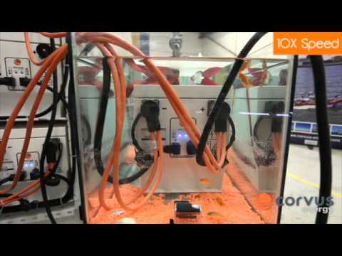 Flood Test - YouTube