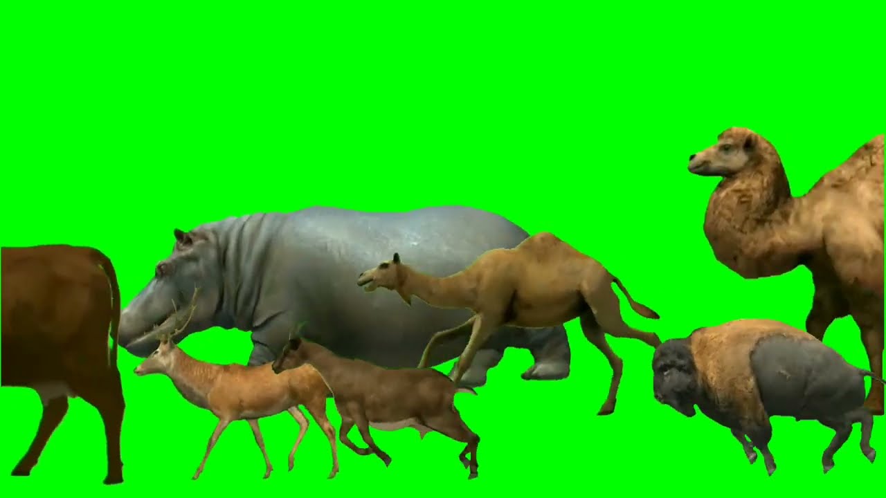 Animal stampede running | Animals and dinosaur stampede | Animal ...