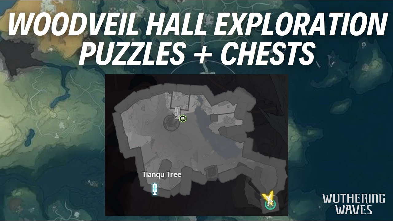 ALL WOODVEIL HALL EXPLORATION PUZZLES + CHESTS IN ORDER - Wuthering Waves - YouTube