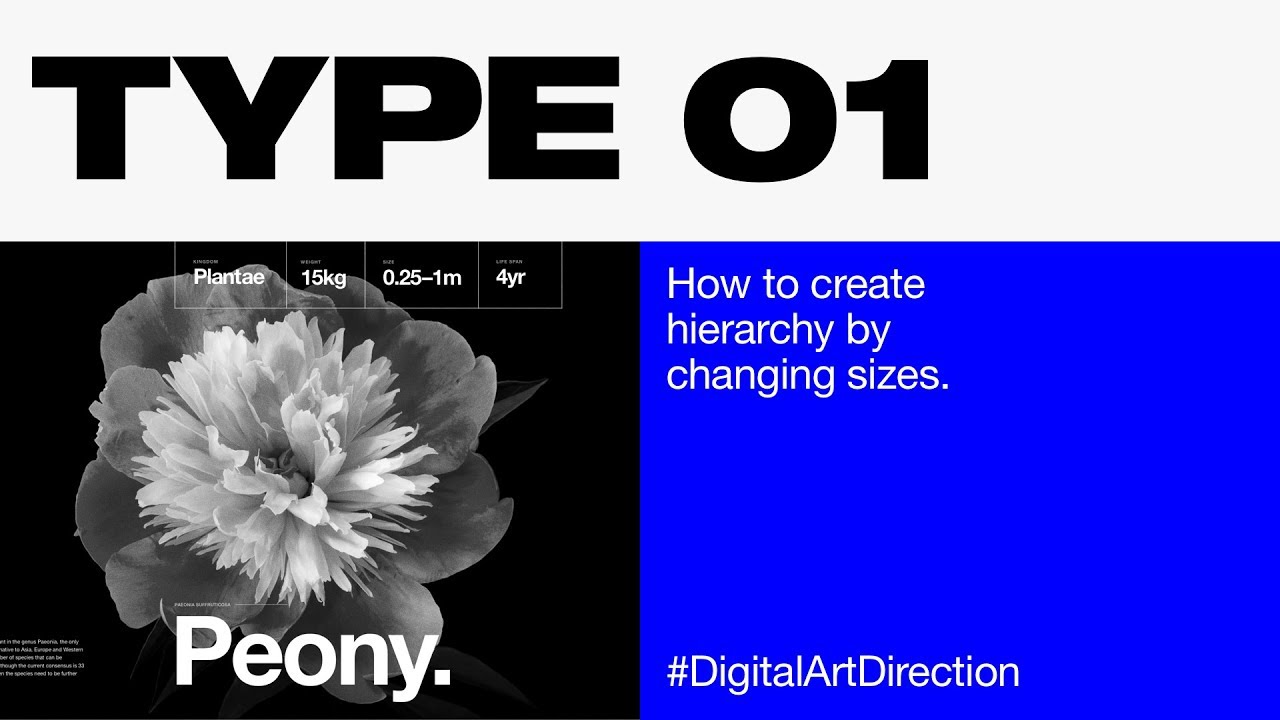 How To Create Hierarchy By Changing Sizes Typography Tutorial 01 How To Create Hierarchy By Changing Sizes Typography Tutorial 01