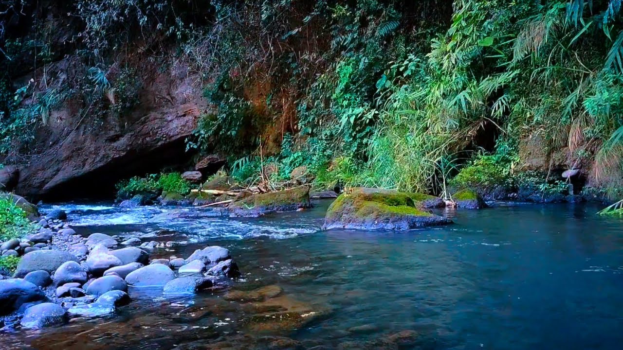 RELAXING RIVER SOUNDS FOR SLEEPING, WATER SOUNDS, RIVER SOUNDS, NATURE ...