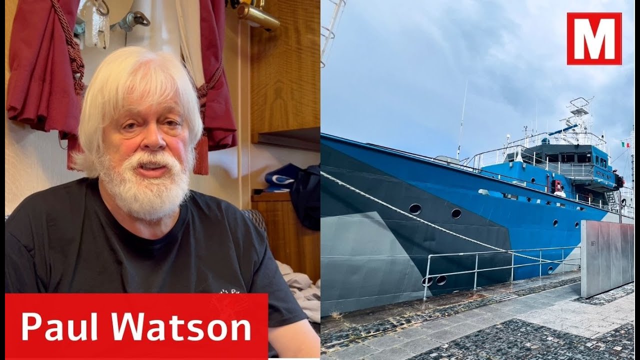 Behind the scenes with Greenpeace founder Paul Watson aboard his anti ...