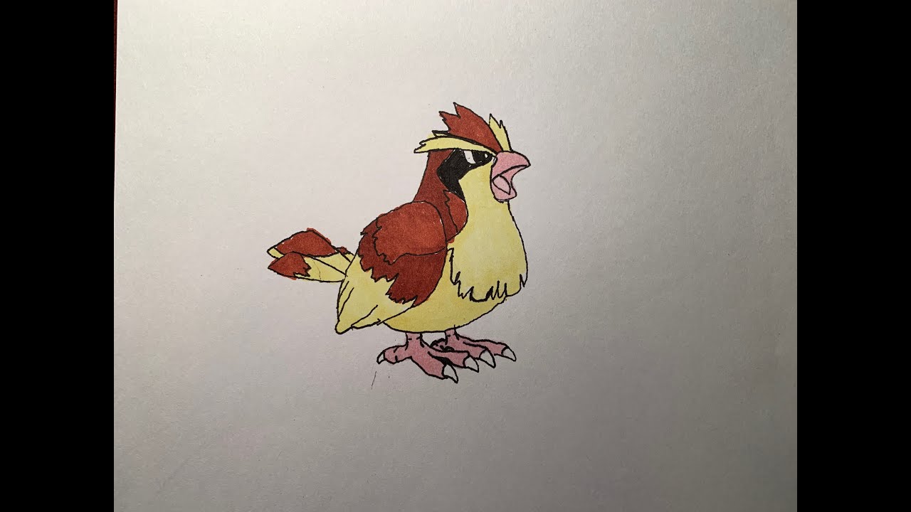 Draw That: Pidgey - YouTube