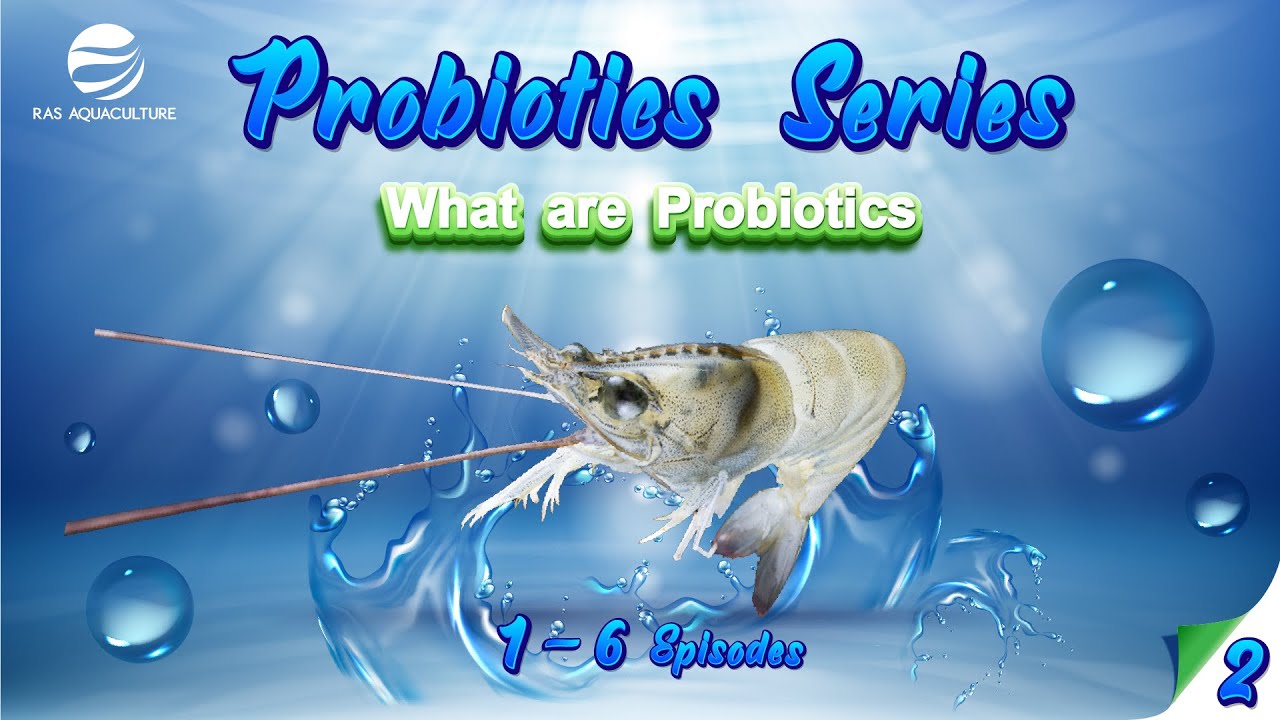 What are Probiotics? | Probiotic series Episode 02 - YouTube