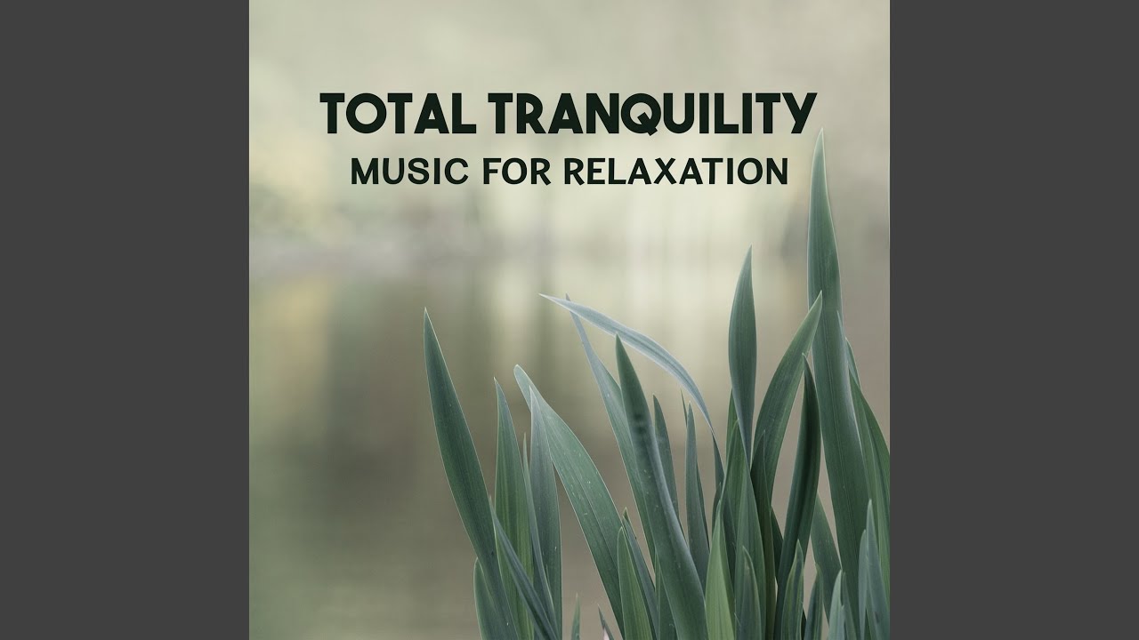 Total Tranquility (Music for Relaxation) - YouTube
