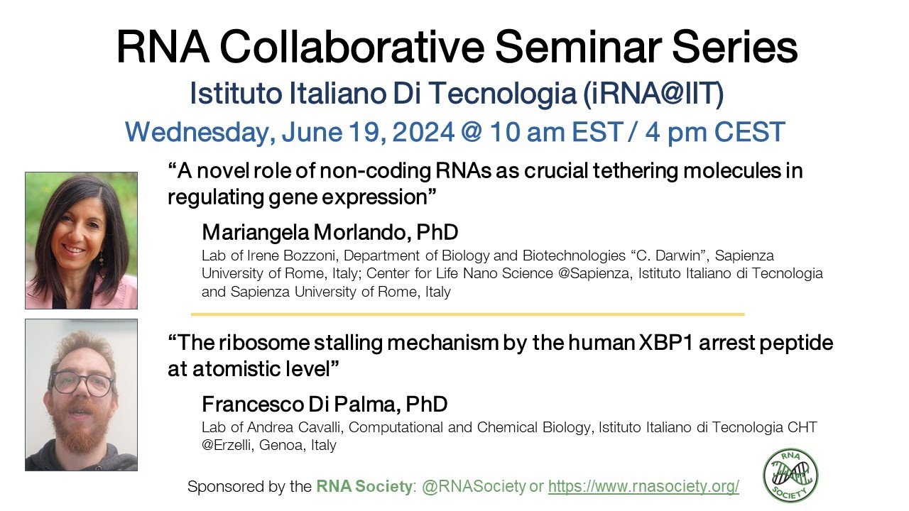 RNA Collaborative Seminar - RNA Initiative at the Italian Institute of ...
