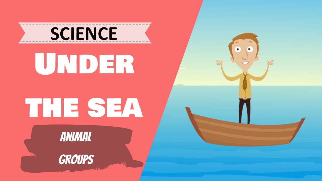 Under the Sea - Animal Groups (Primary School Science Lesson) - YouTube
