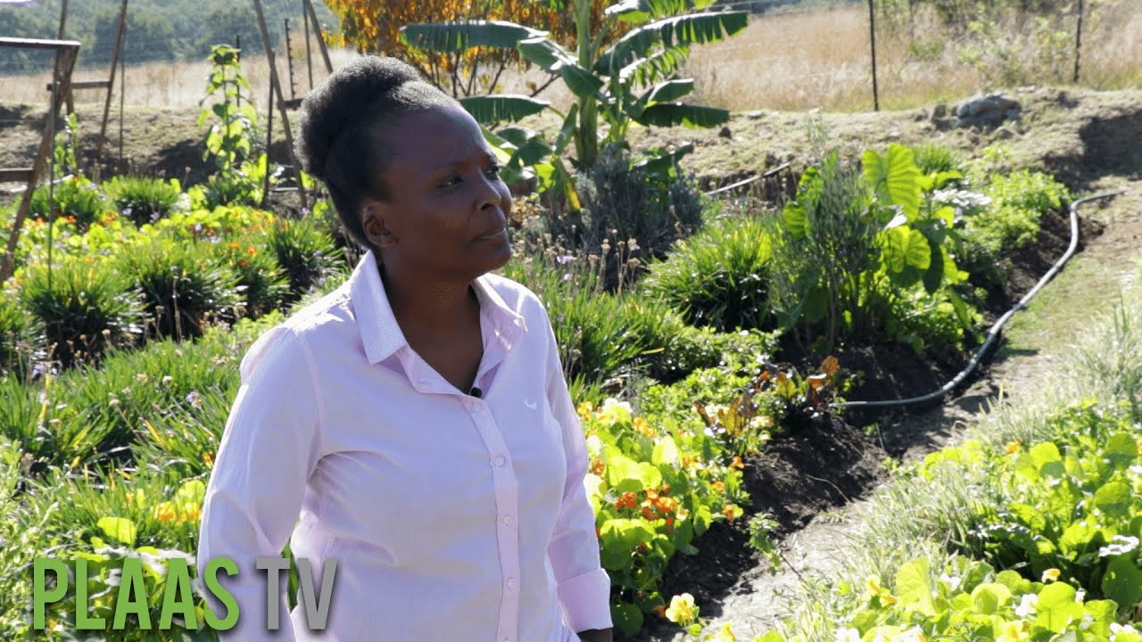 Plaas TV 10 June: Naledi Farm / World Metrology Day - YouTube