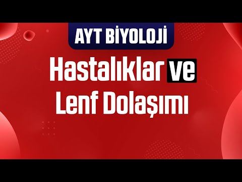 22) Dolaşım Sistemi : Hastalıklar ve Lenf Dolaşımı