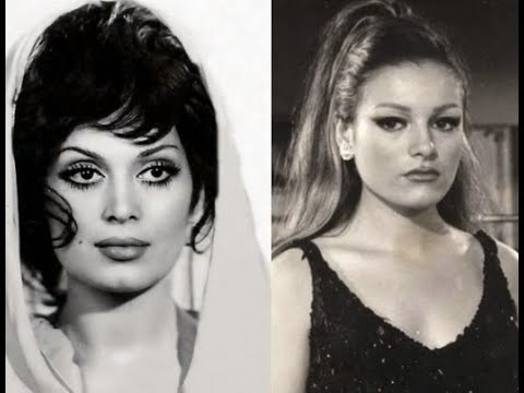 Türkan Şoray ve Ajda Pekkan'ın Zeki Müren İçin Sosyetik Mekandaki Kavgası ( Yeşilçam Catfight )