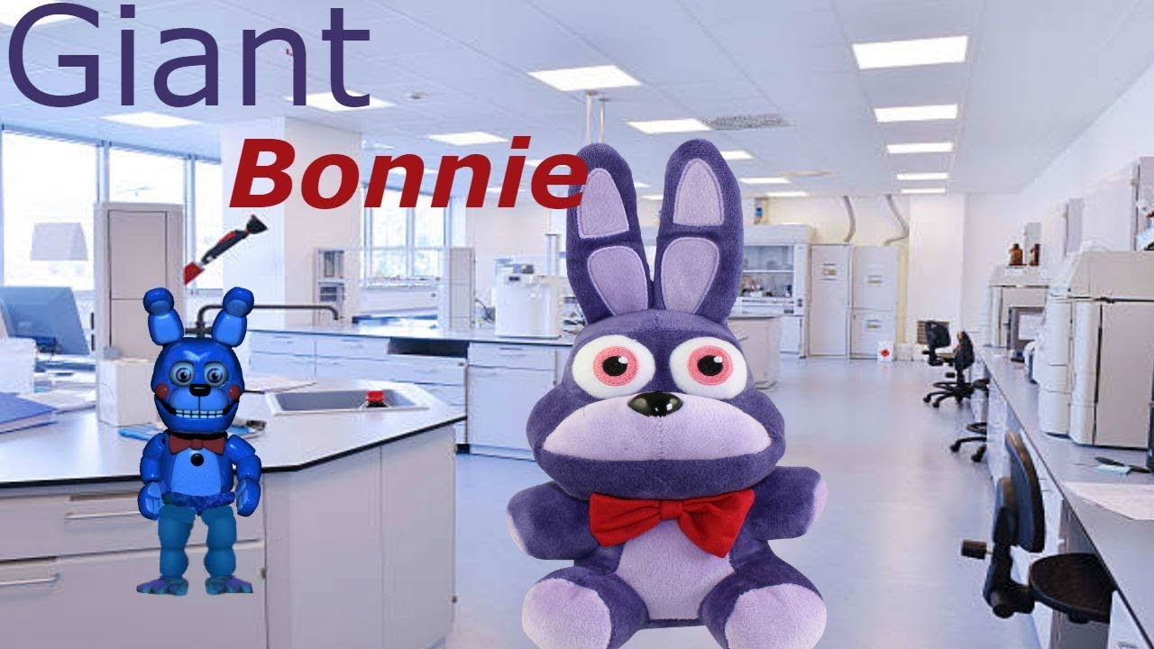 EP Short | BIG BONNIE - YouTube