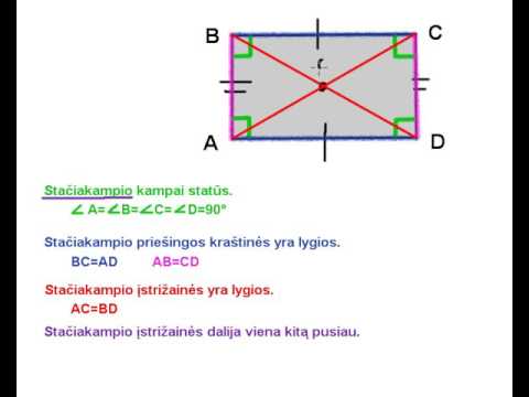 stačiakampis - YouTube