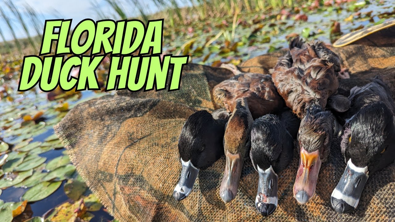 DIY DUCK HUNTING! { Florida public land } SOLO hunt! Whistling ducks ...