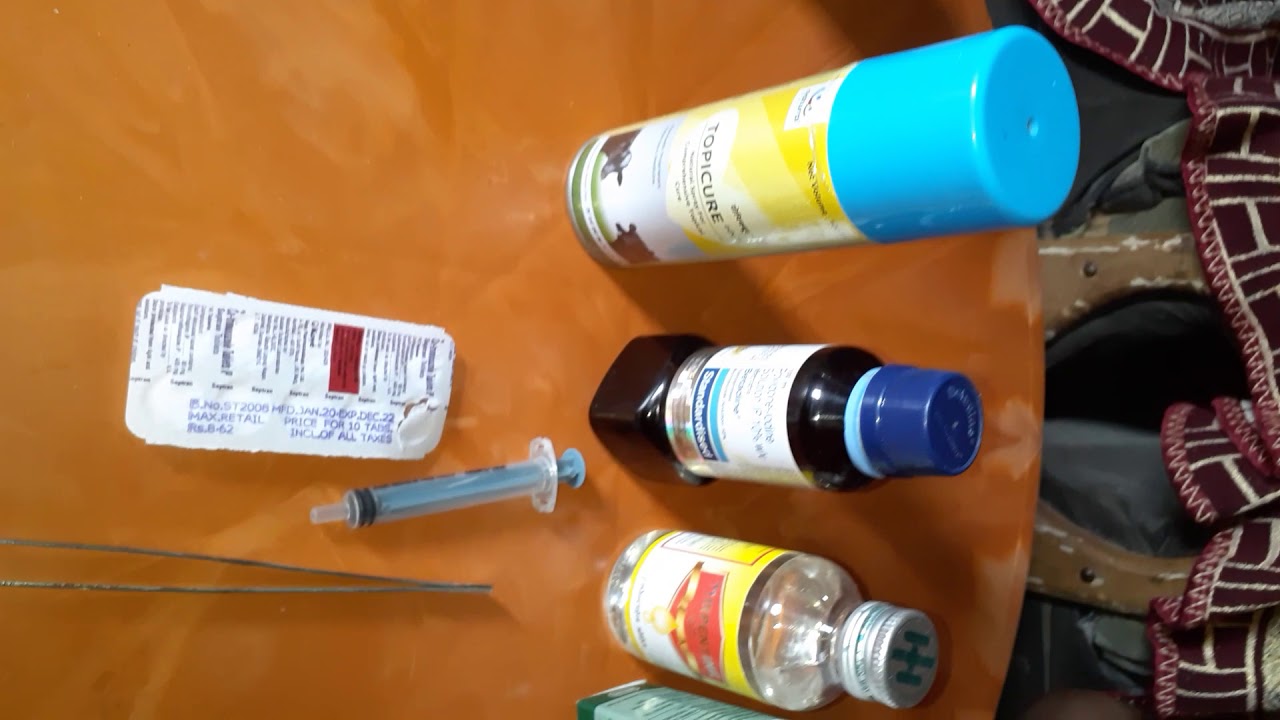 Maggot Wound Full Treatment For Dogs - YouTube