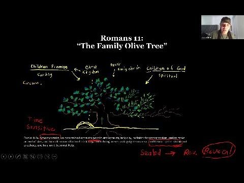 Romans Study-The Olive Tree- 2 Trees - YouTube
