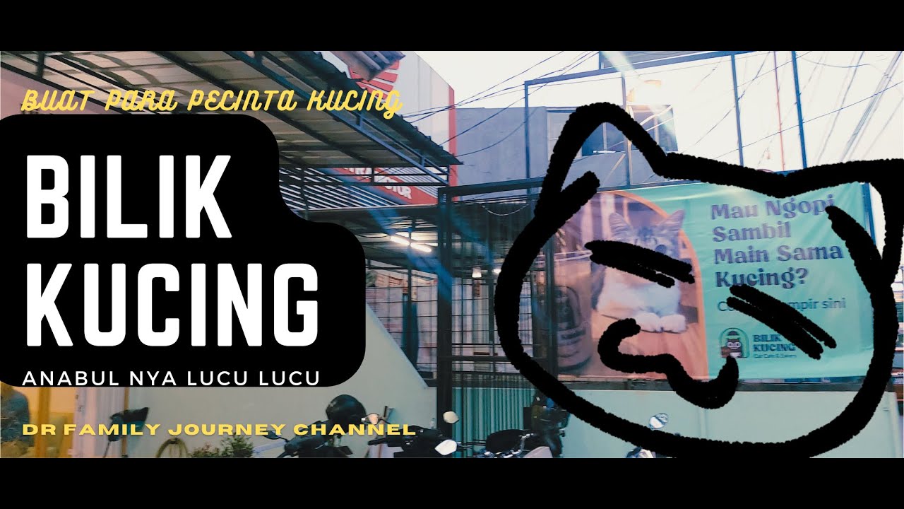 Suka Kucing? Pengalaman Baru di Bilik Kucing || Cat Cafe Kukusan - YouTube