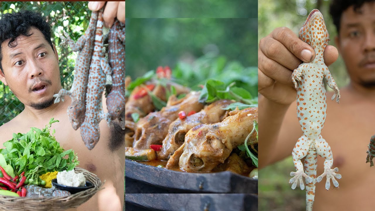 Wow! Gecko is good food for him ever, Eating Gecko Spicy Recipes, #food ...